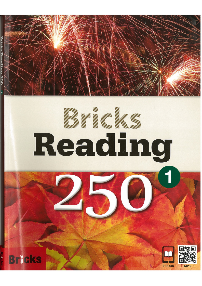 bricks reading 250 1.pdf | Scan books
